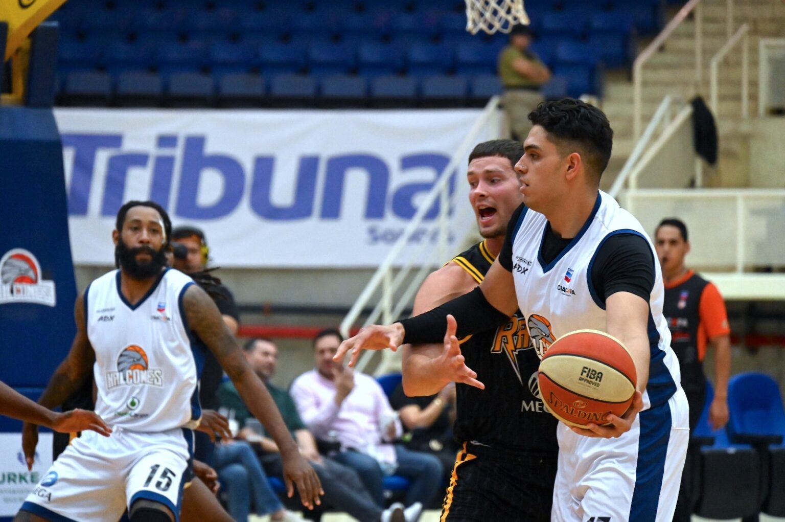 Alex Reyna vuelve a vestir los colores de Halcones en 2026 ...
